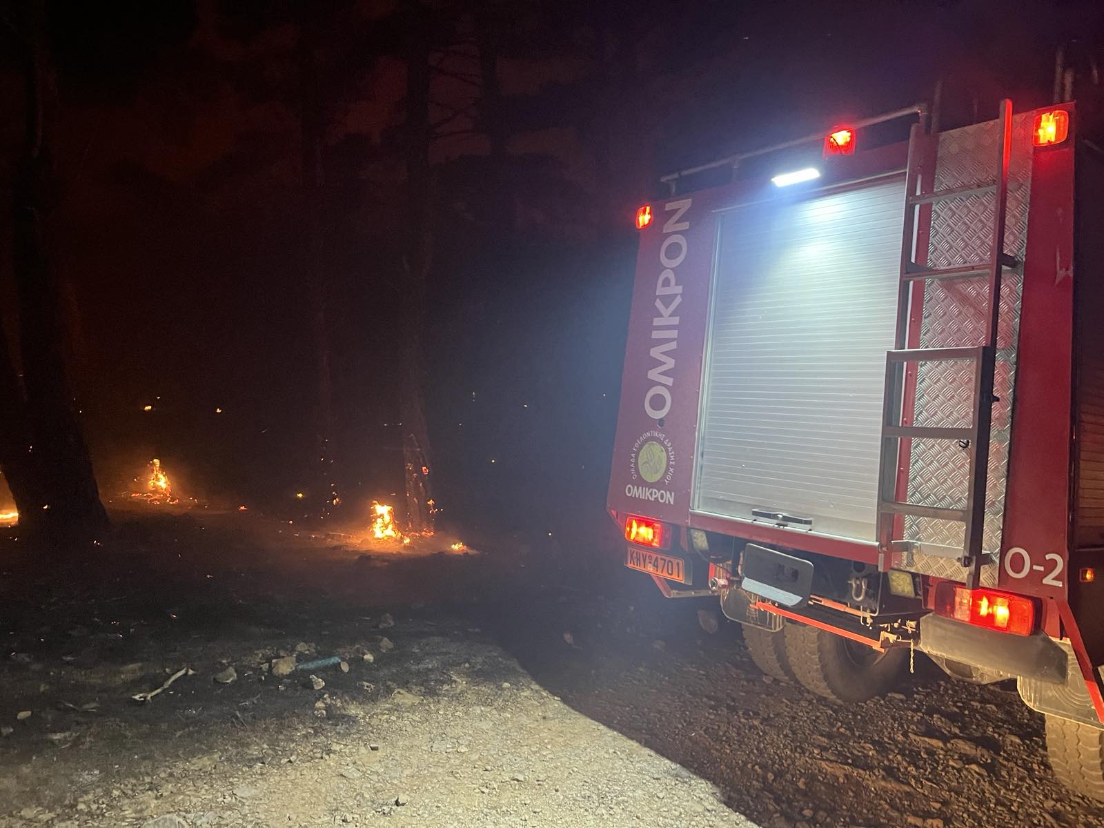 Φτάνει πια! Τα δάση μας χρειάζονται ουσιαστική και αποτελεσματική ...